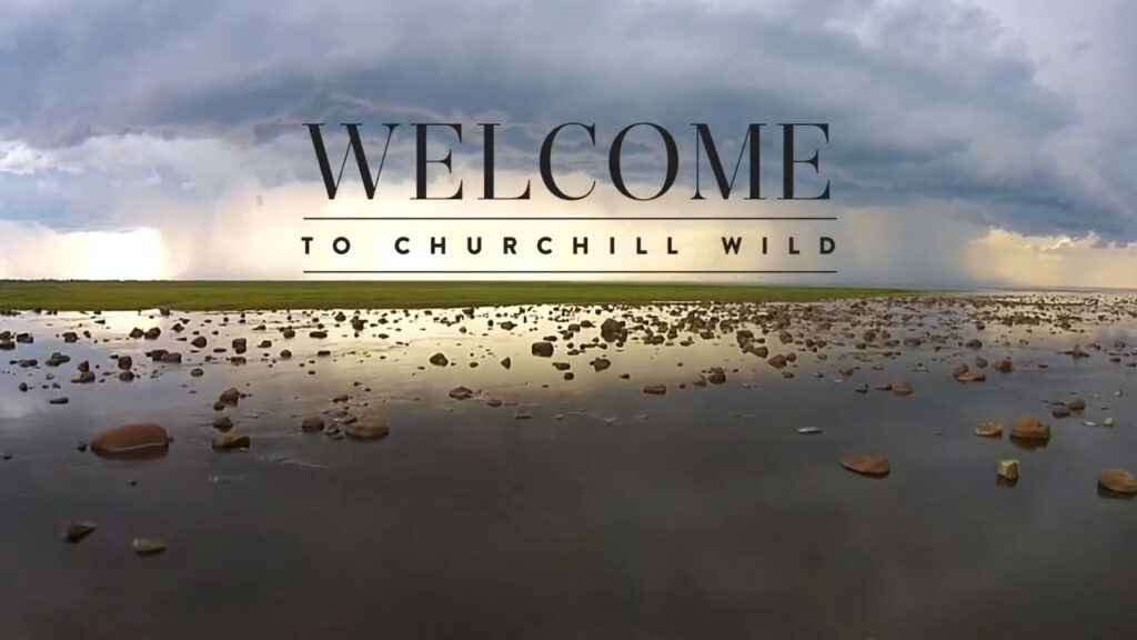 Blueberry Inn | Churchill, Manitoba